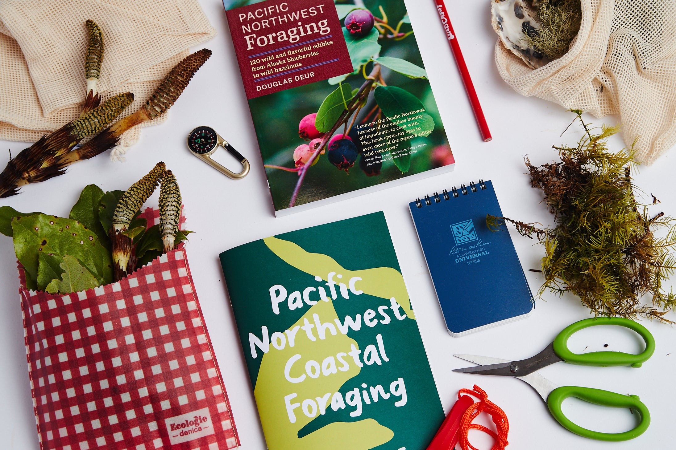 Coastal Foraging — Kit– The WildCraft Store